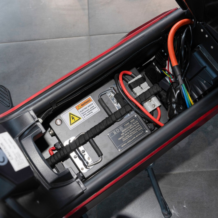 EcoMoto Premium Lion E3900W RED Edition купить в Москве - Цена, Характеристики | Магазин EcoMoto